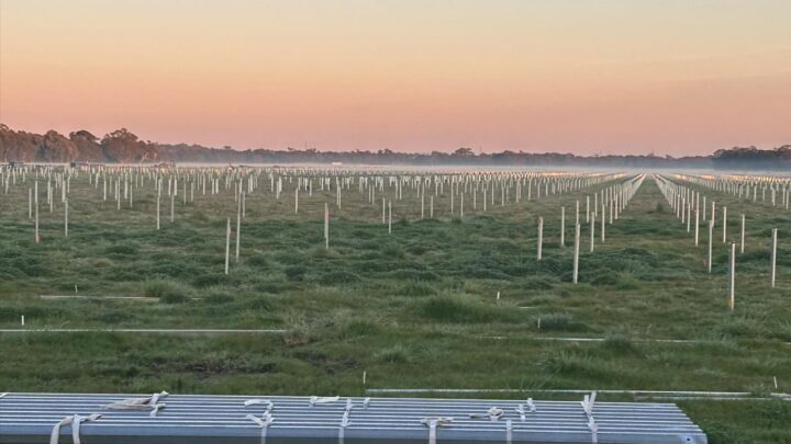 Screw Pile Footings | Plan with Confidence | Langford